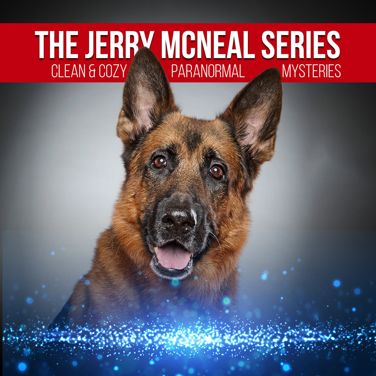 THE JERRY MCNEAL SERIES – Burton Books
