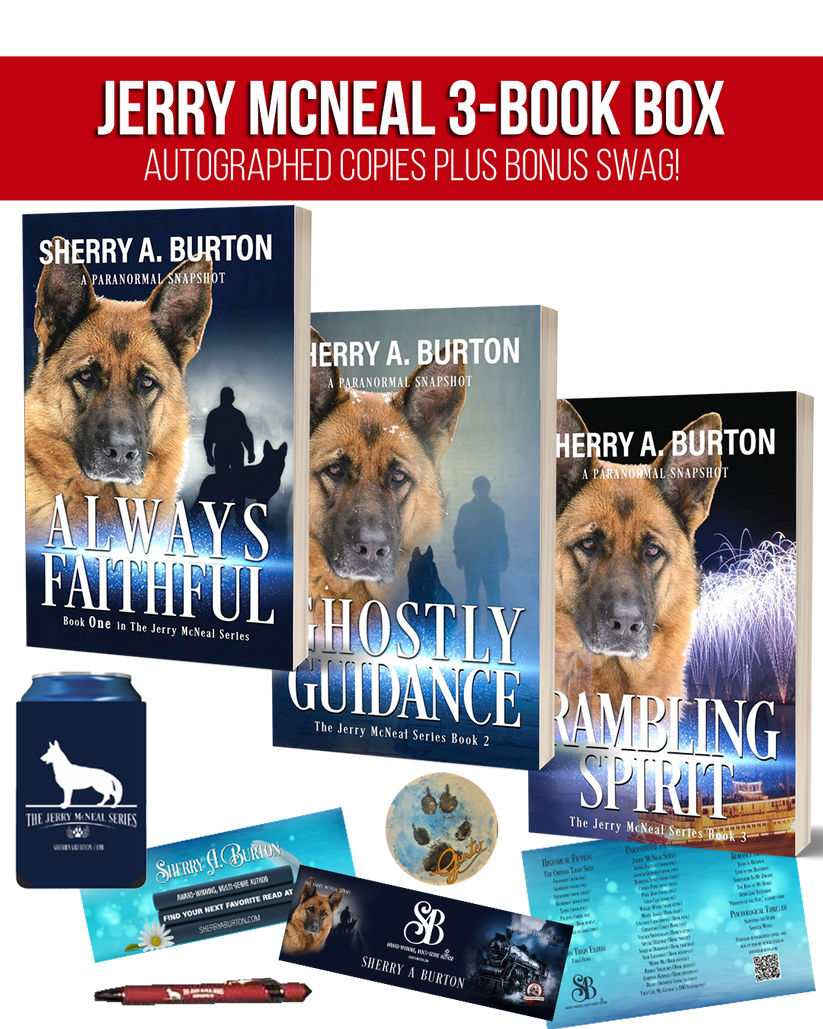 THE JERRY MCNEAL SERIES 3-BOOK BOX WITH SERIES SWAG – Burton Books