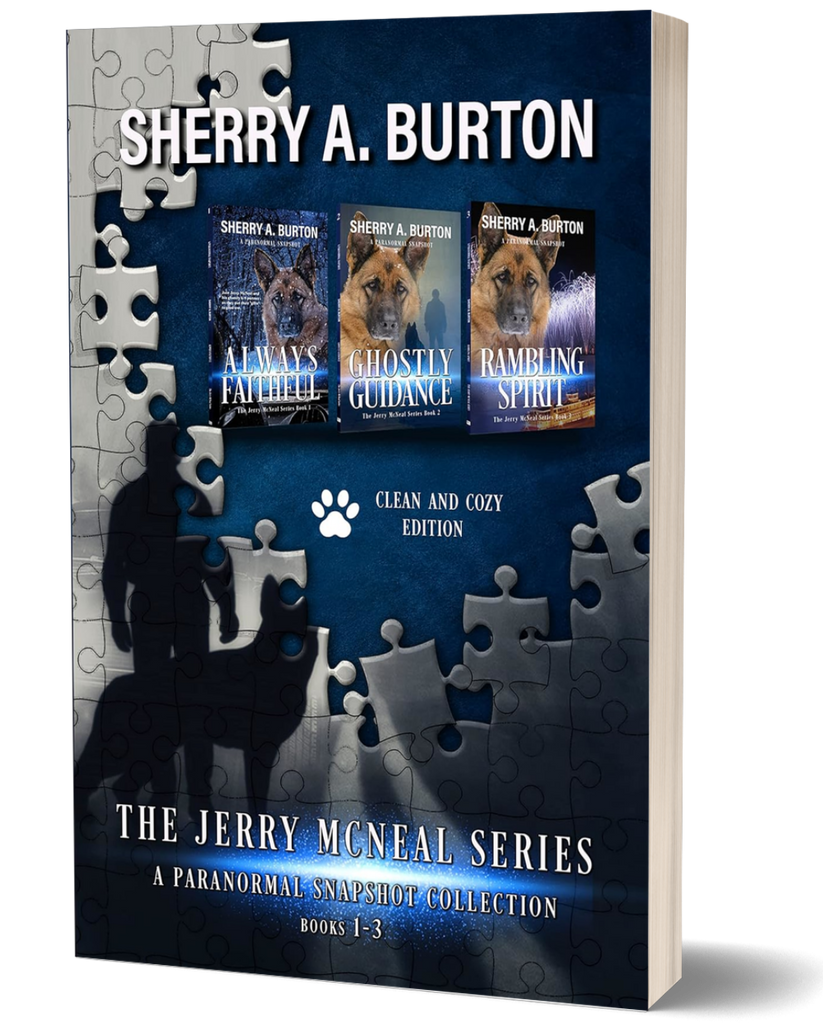 THE JERRY MCNEAL SERIES Compilation, BOOKS 1-3 – Burton Books